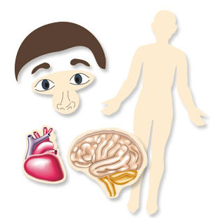 Human Body Puzzle